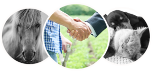 inter-farm.de – Inter Farm Handel GmbH